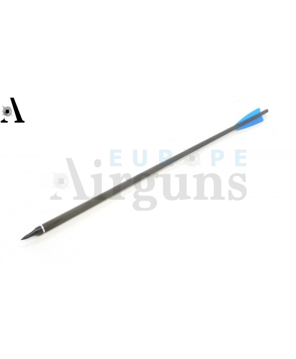 12 arrows CARBON 100% 51cm