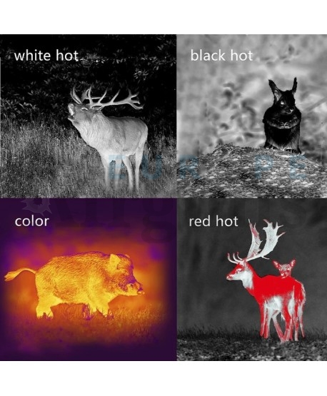 Thermal monocular TA32 1-8x19