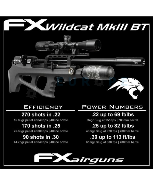 FX Wildcat MK3 BT