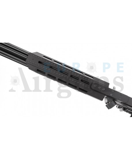 Redback Arrow Standard