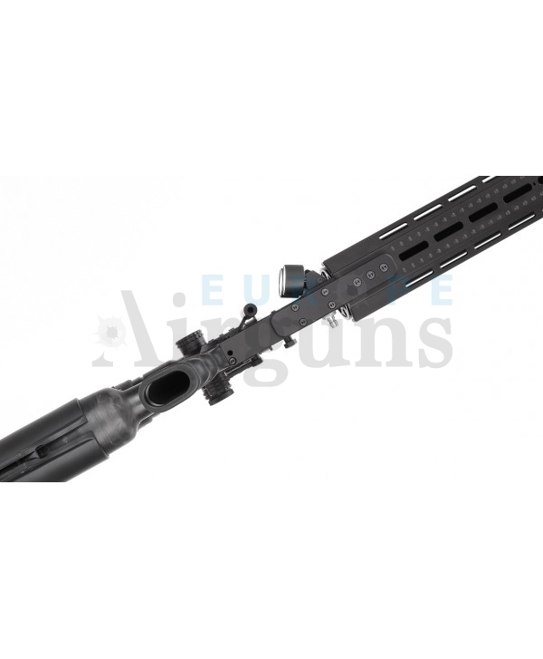 Redback Arrow Standard